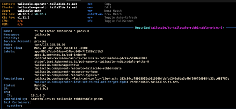 Tailscale Operator Deep Dive